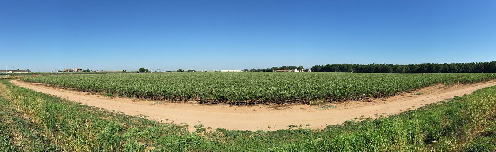 Geschichte und Geschichten rund um den Apfel - Wissenswertes aus der ...