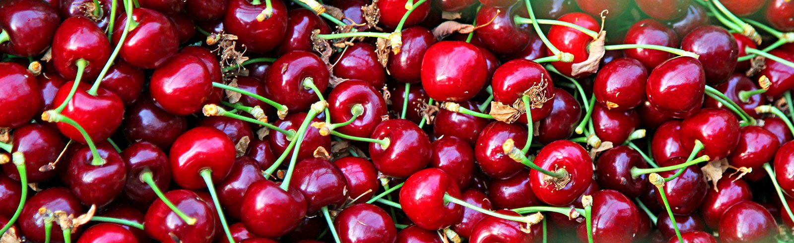 Geschichte und Geschichten rund um den Apfel - Wissenswertes aus der ...